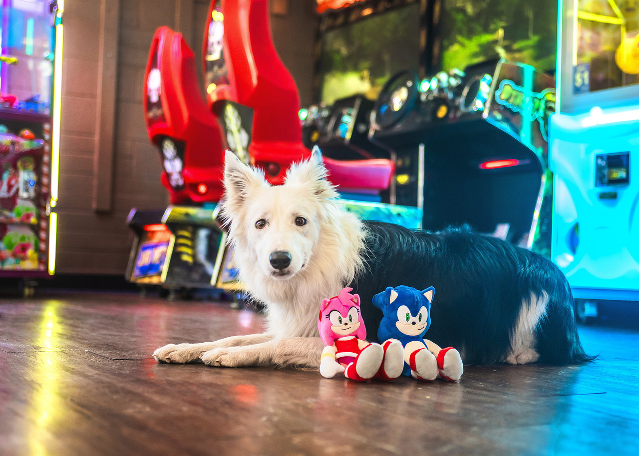 Multipet Sonic the Hedgehog Amy Rose Plush 10" Dog Toy