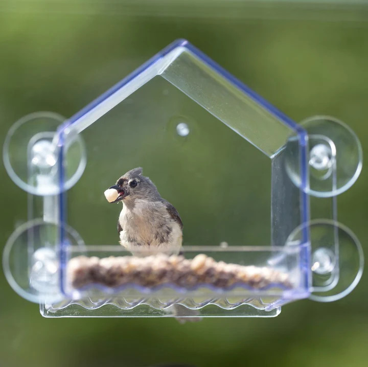 Nature's Way Clear View Window Bird Feeder