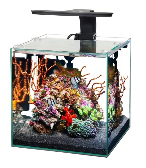 Aqueon Frameless Tank Cube 3 Gallon