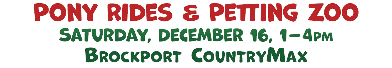 a REAL Country Christmas