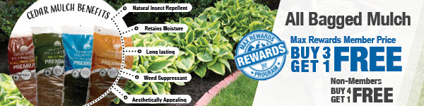 Natural Premium Cedar Mulch 3 Cubic Feet - CountryMax