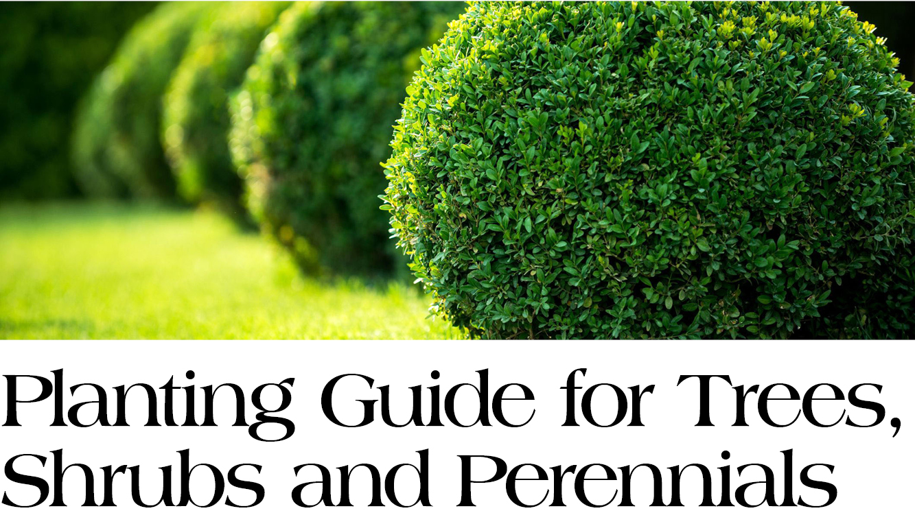 "How-To" Planting Guide