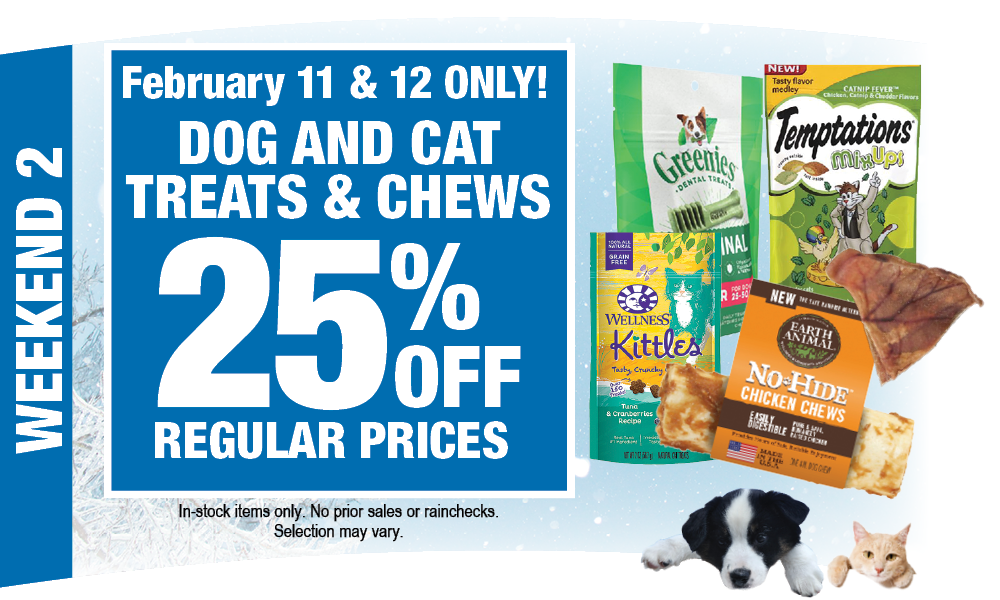 February Specials