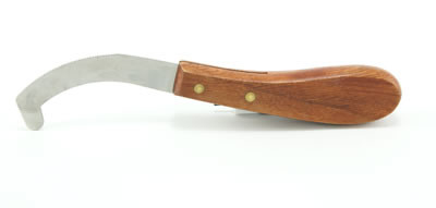 Bot Egg Knife - CountryMax