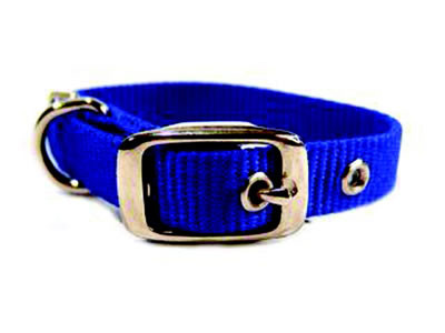 Hamilton Single Thick Blue Nylon Buckle Collar 5/8 x 12 Inch - CountryMax