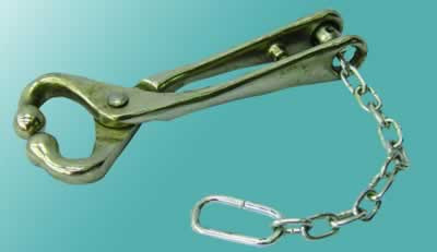 Bull Lead With Chain - CountryMax