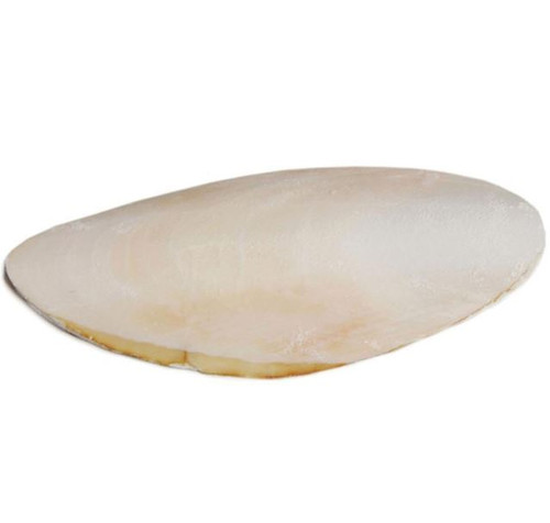 A&E CuttleBone Bulk 6"-8" - CountryMax