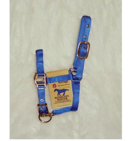 Hamilton Halter Adjustable Miniature Horse Halter, Blue - CountryMax
