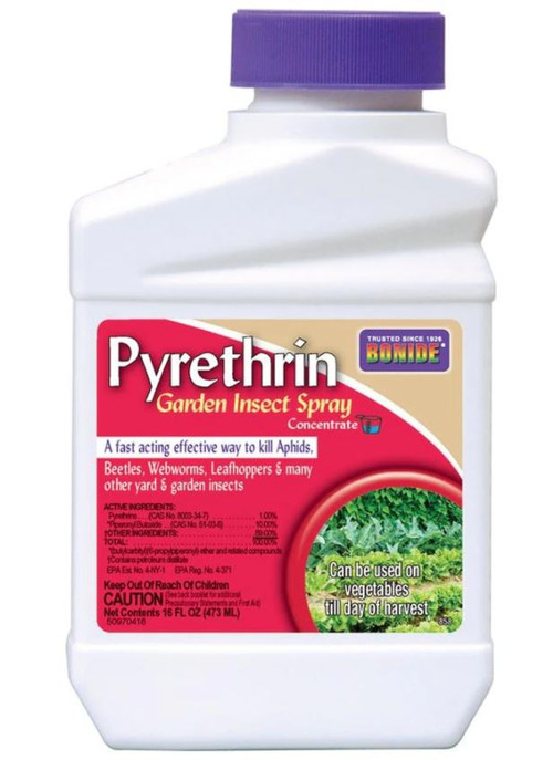 Bonide Pyrethrin Concentrate Garden Insect Spray, 1 Pt.