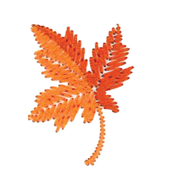 Mini Maple Leaf 1