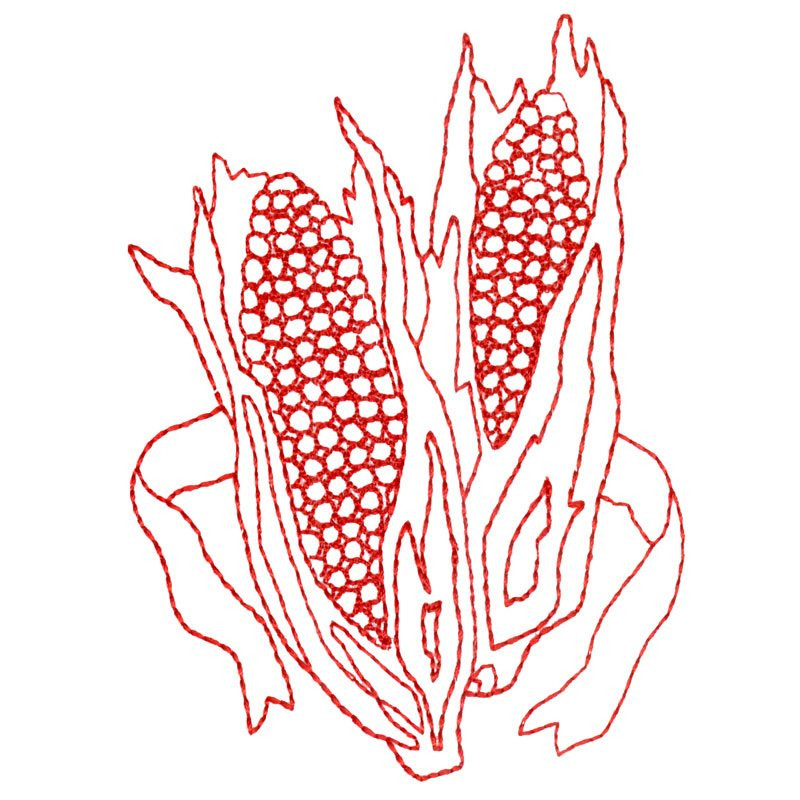 Corn Line Drawing