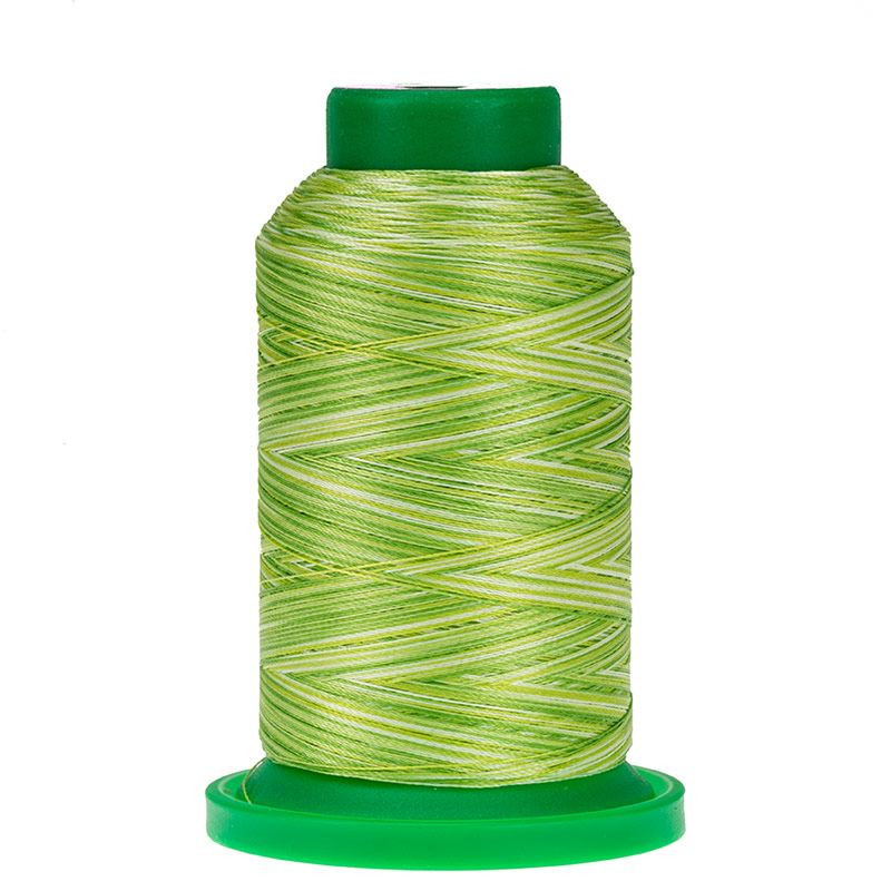 9916 Rainbow Isacord Variegated Thread