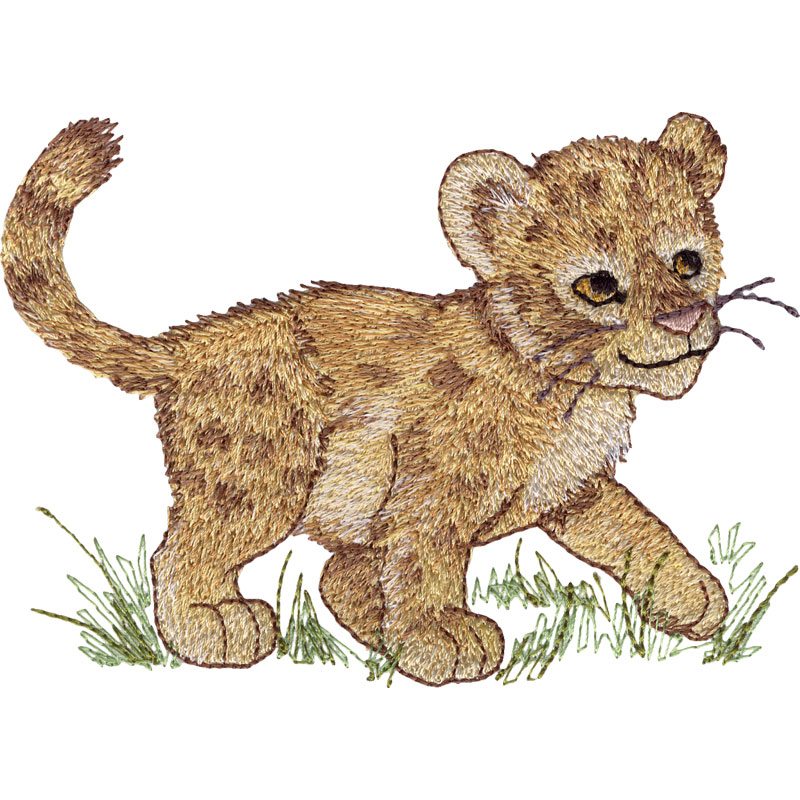 Lion Cub