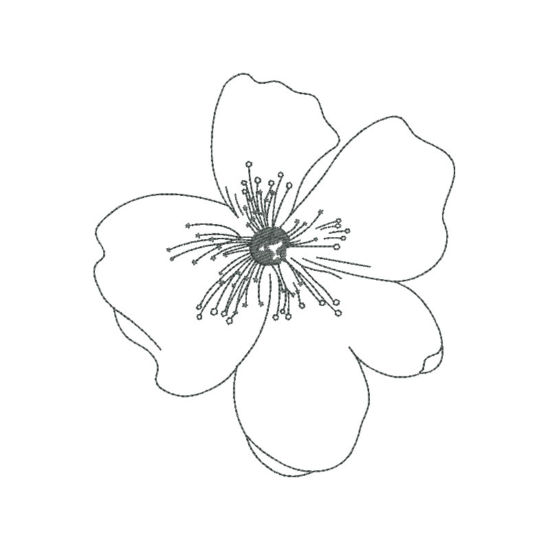 Large Linework Flower 5