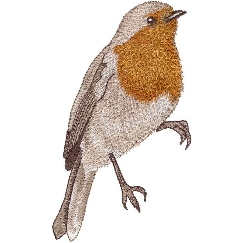 European Robin