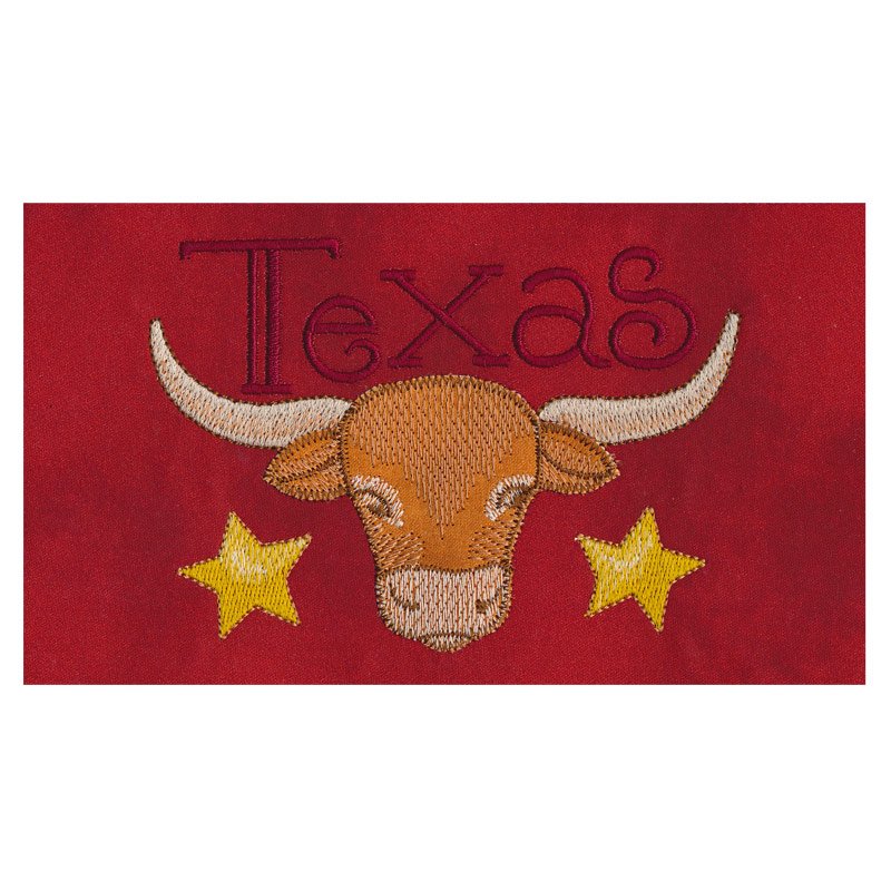 Texas Applique