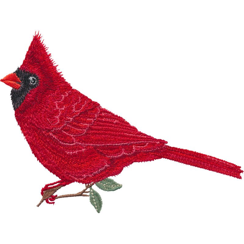 Cardinal 5