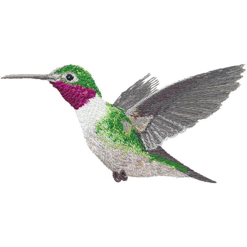 Ruby-throated Male 1