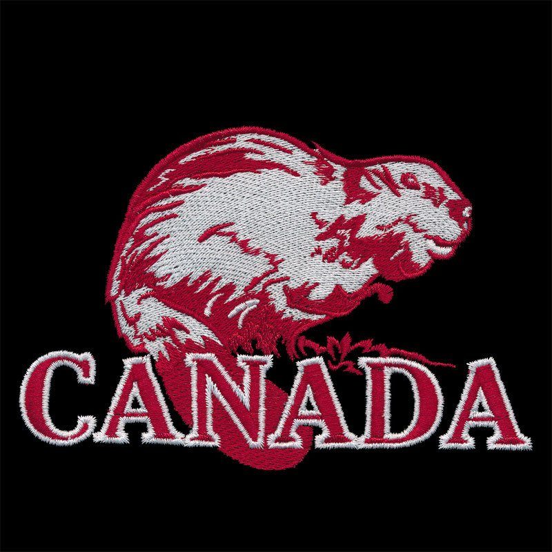 Canada Beaver