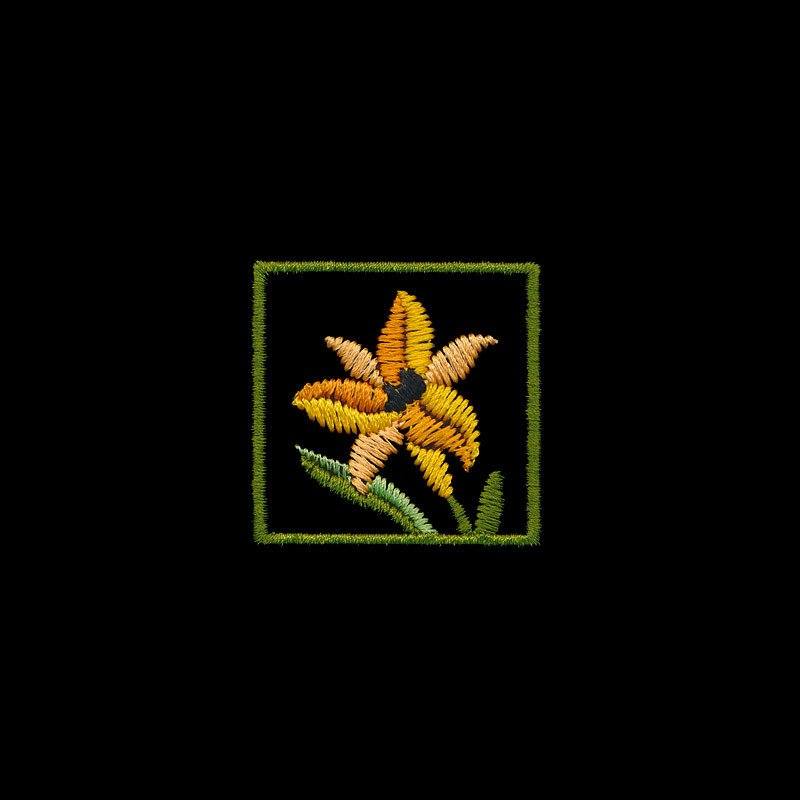 Lily Square