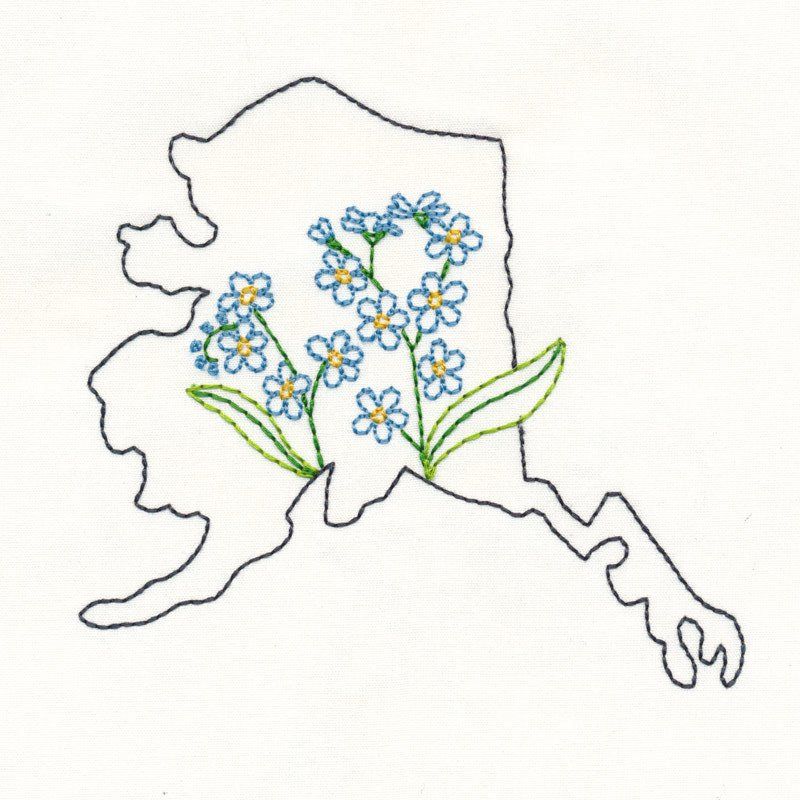 Alaska Forget-Me-Not | 12821-02