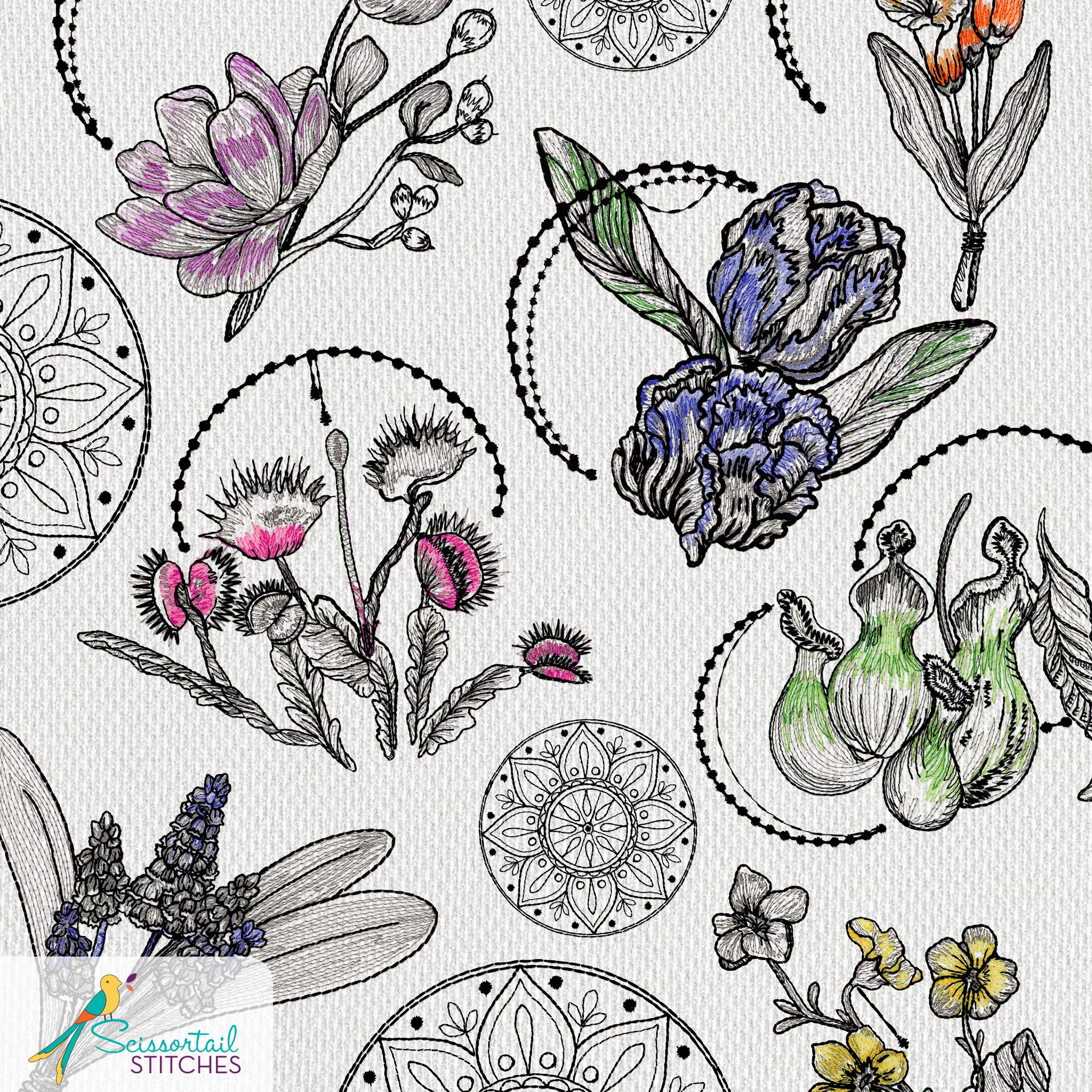 Color Splash Floral