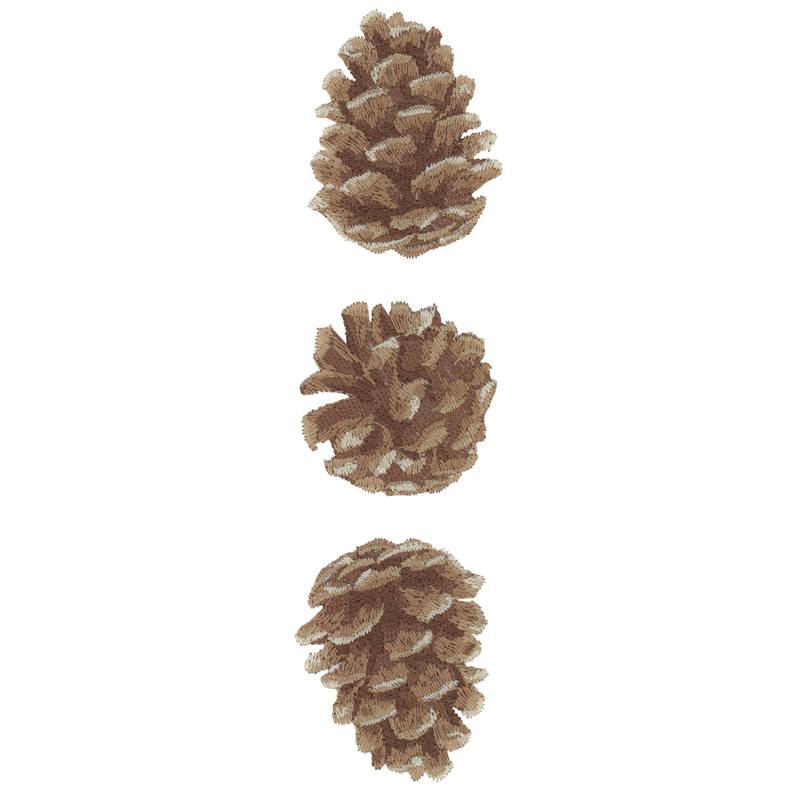 Pine Cone Border