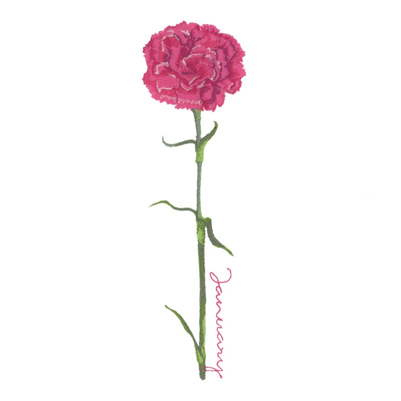 January Birth Flower