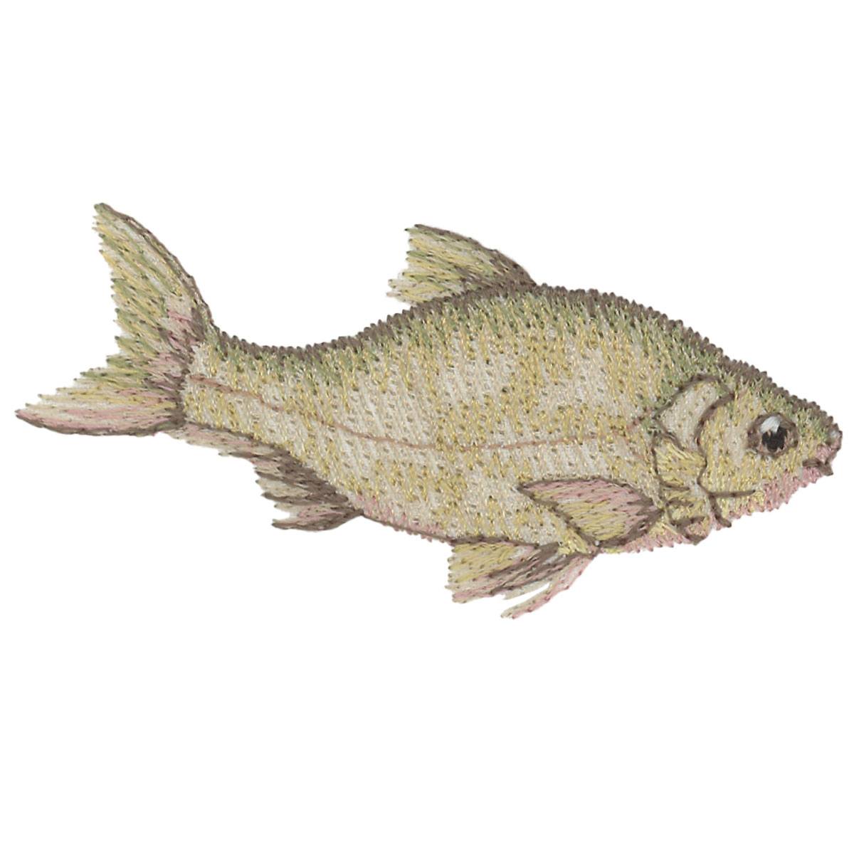 Painted Fish 7