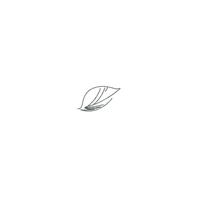 Large Linework Leaf