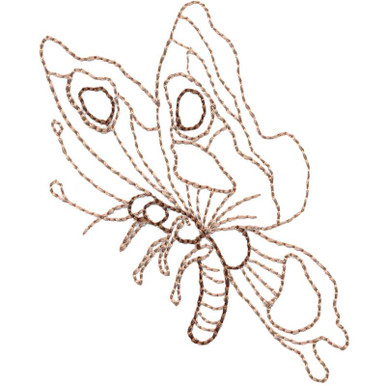 Linework Butterfly