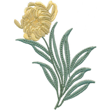 Gold Mum 5 Applique