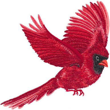 Cardinal 1 | 80120-01