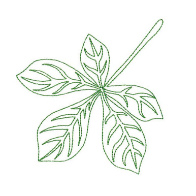 Leaf Linework 1