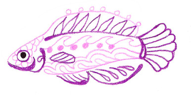 Magenta Fish