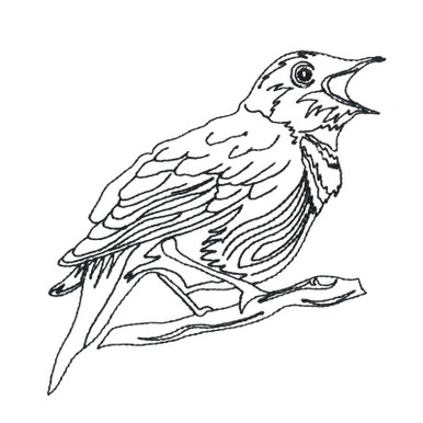 Bird Linework 1 | 80315-10
