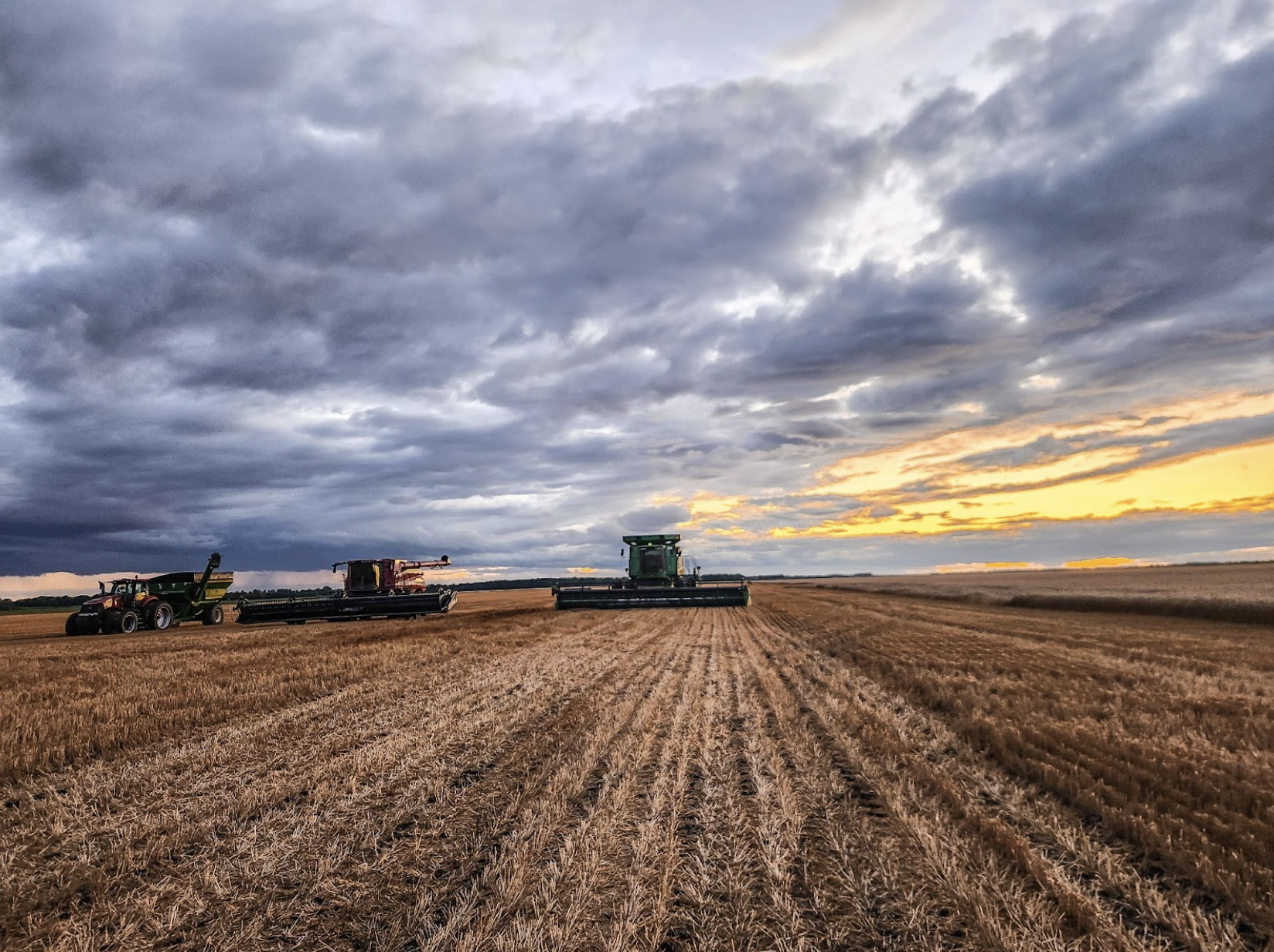 Getting Your Combine Grain Head Ready For Soybean Harvest in 5 Steps ...