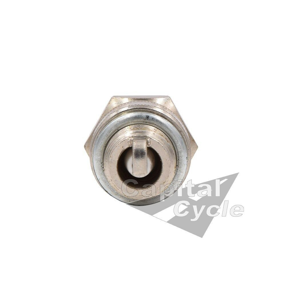 Spark Plug - W240 T1 W4AC Short Reach - Capital Cycle
