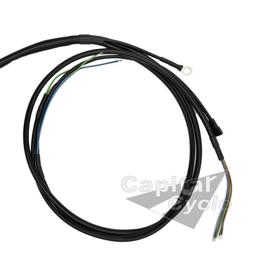 Main Wiring Harness - Capital Cycle