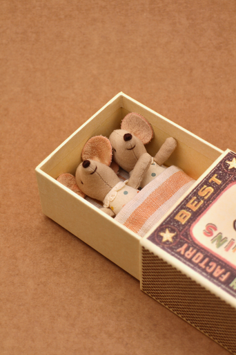 Baby Mice Twins in Matchbox - Ark