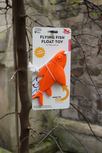 Flying Fish Float Toy - Ark