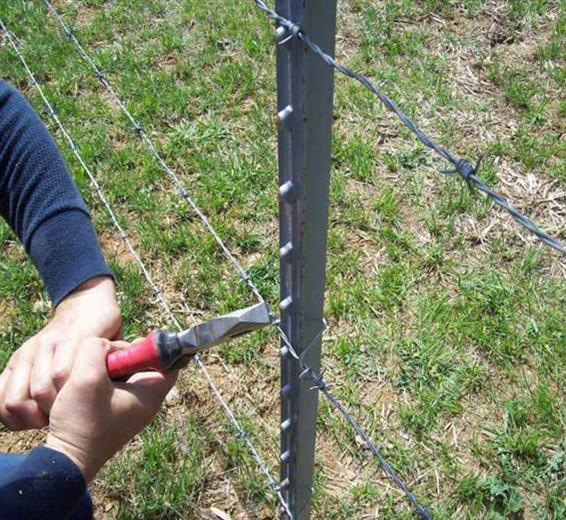 Star Picket 1650mm - Pack of 10 - Safety Xpress