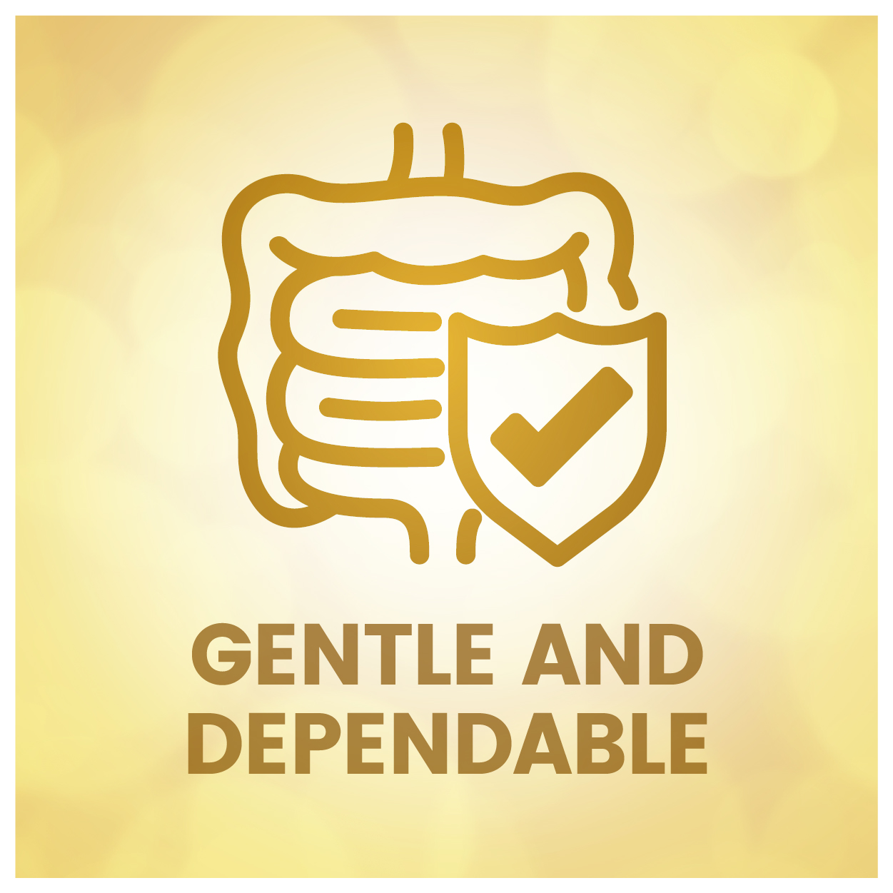 HealthA2Z® Senna Laxative | 300 Count | Sennosides 8.6mg | Natural ...