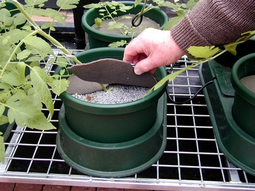 Capillary Mat - GardenSmart