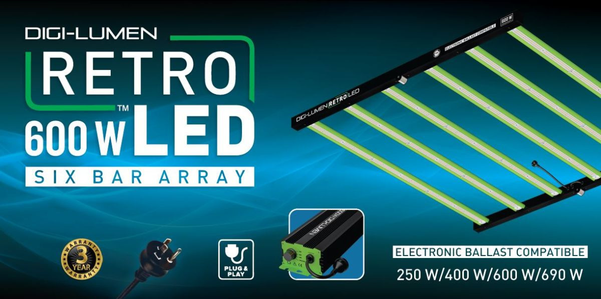 Digi Lumen 600W Retro LED