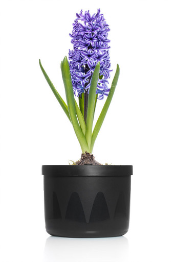 mini smart pot, selfwatering, selffeeding, autopot, smart pot, indoor ...