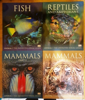 DK Animals / The Definitive Visual Guide (7 Children's Picture Book ...