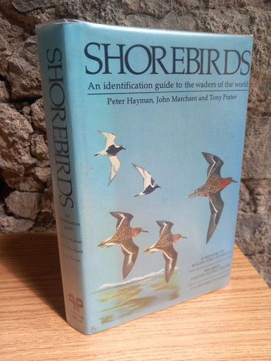Peter Hayman, John Marchant & Tony Prater - Shorebirds : An ...