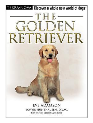 Eve Adamson / The Golden Retriever (Coffee Table Book) - TheBookshop.ie