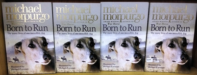 Michael Morpurgo / Born to Run (4 Pack Teacher's Bundle) - TheBookshop.ie